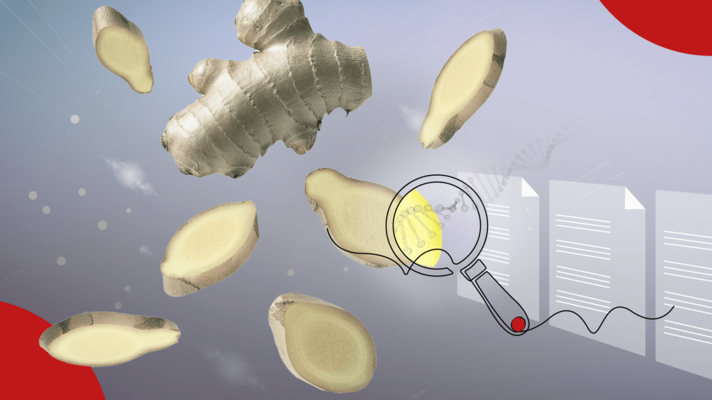 From Theory To Practice Ai In Biomedical Data Extraction